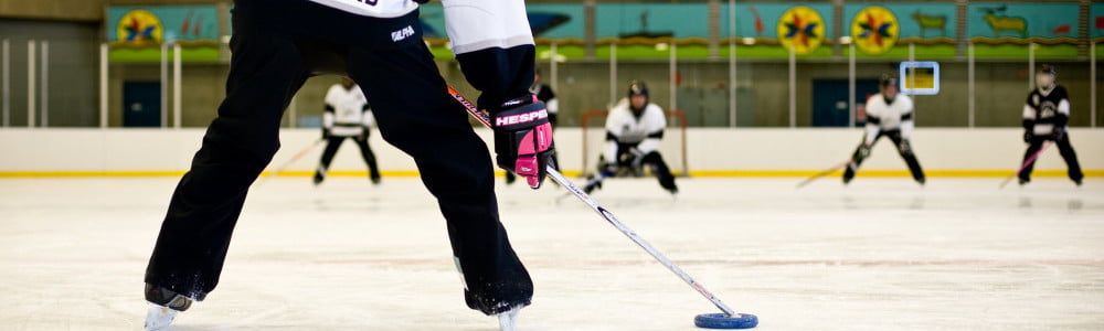 Ice Rink | Trout Lake Community Centre